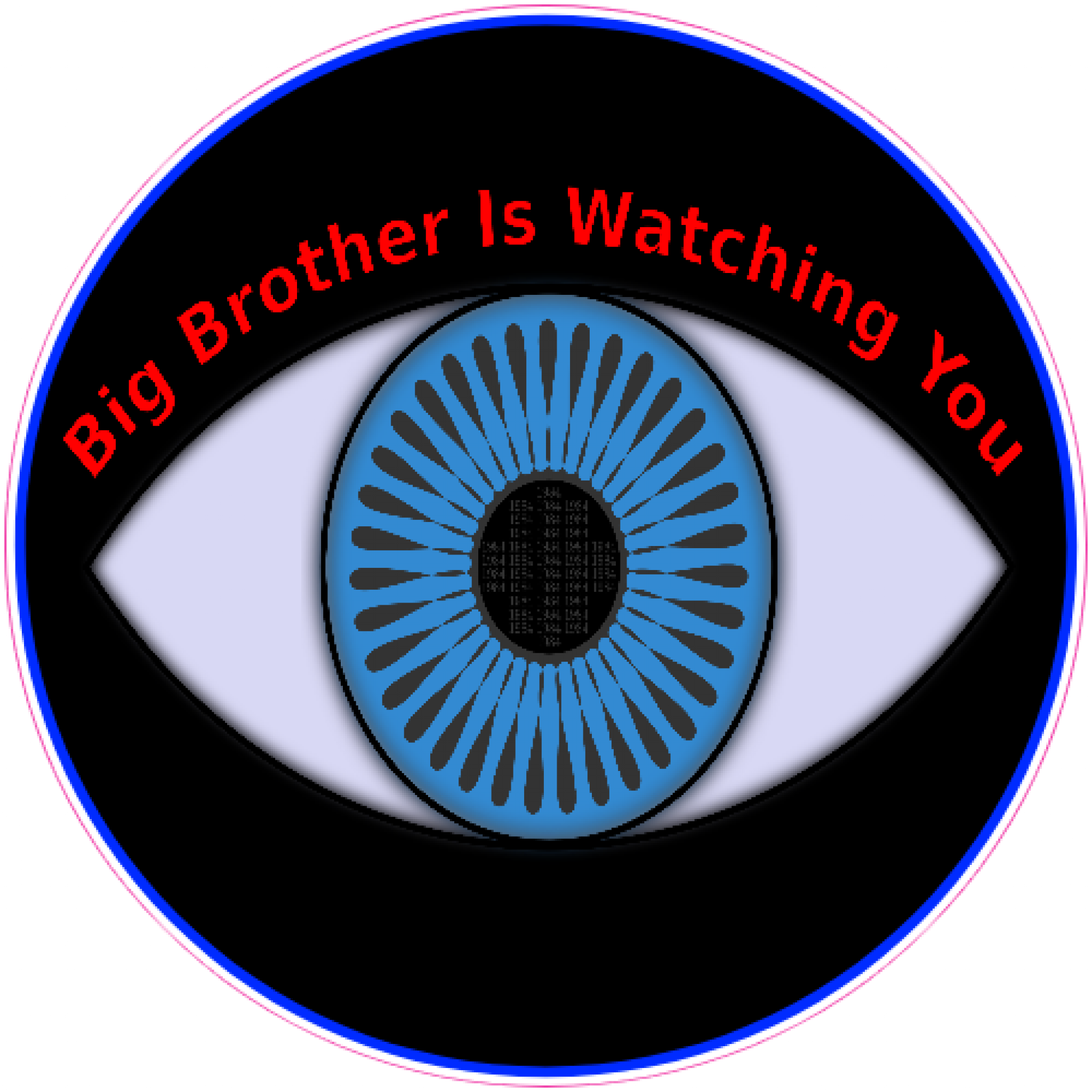 Big Brother Is Watching You Eye Sticker - U.S. Custom Stickers
