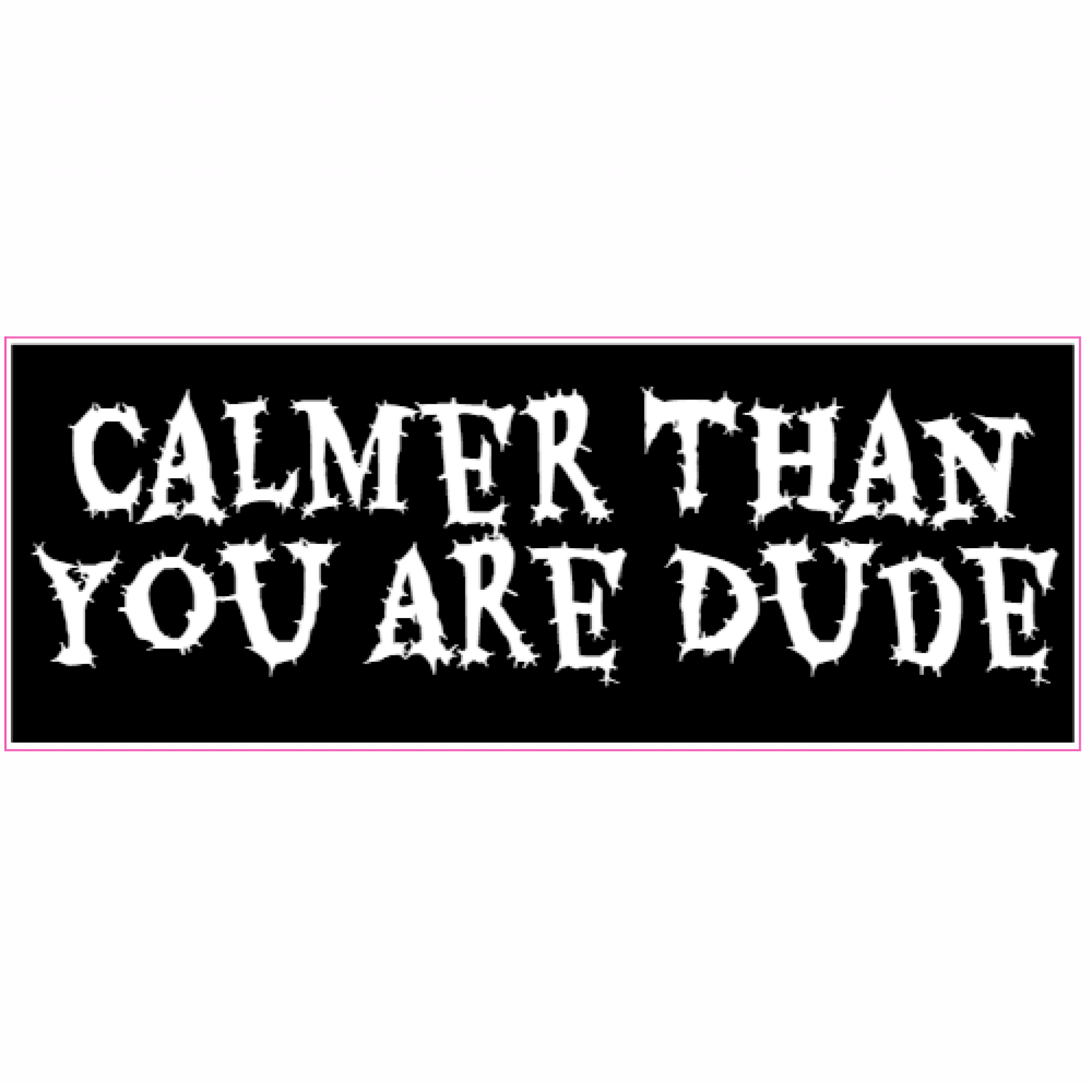 Calmer Than You Are Dude Sticker - U.S. Custom Stickers