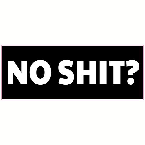 Custom No Shit Decal - Sticker Printing