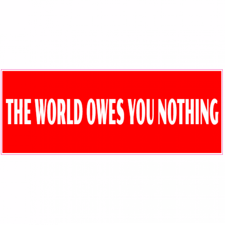 The World Owes You Nothing Sticker - U.S. Custom Stickers